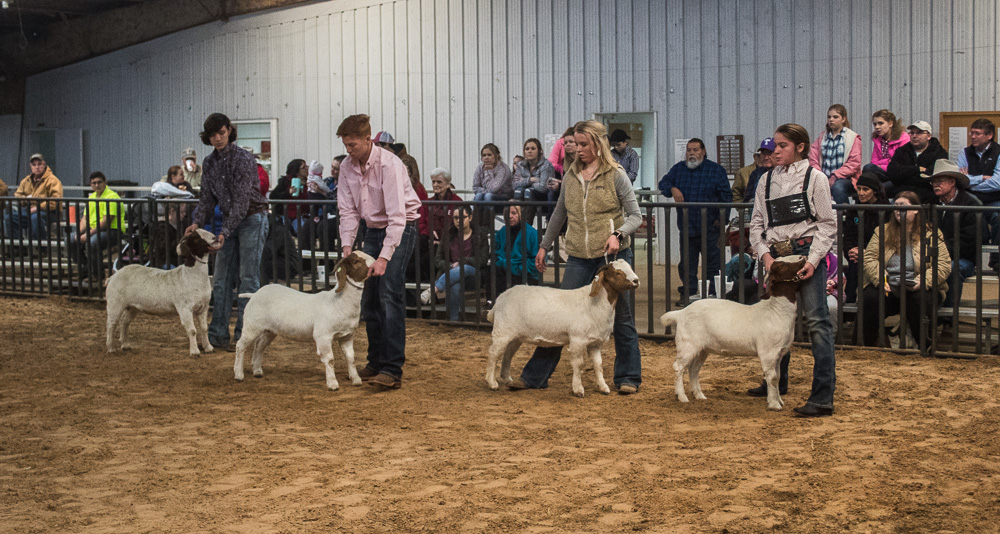 Grissom, Turner and Garland take top honors in Goat Division ...