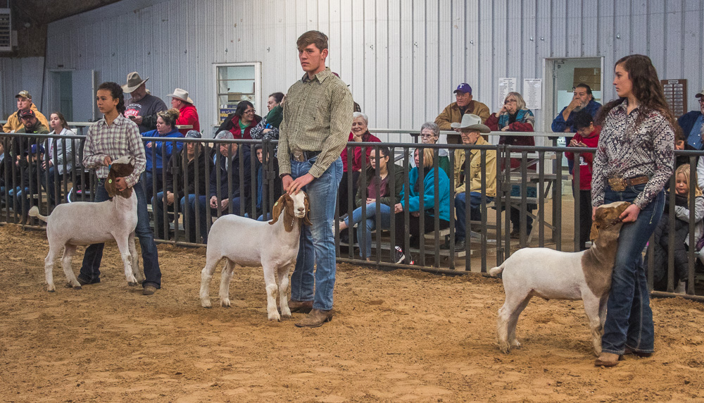Grissom, Turner and Garland take top honors in Goat Division ...