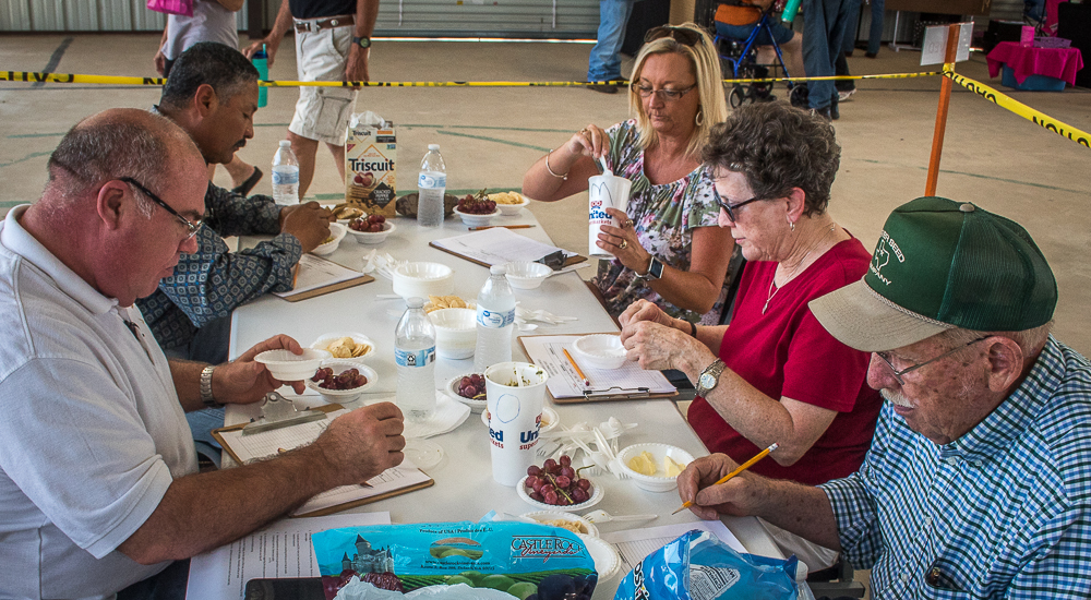 Ten teams compete in Breckenridge salsa, guacamole contest ...