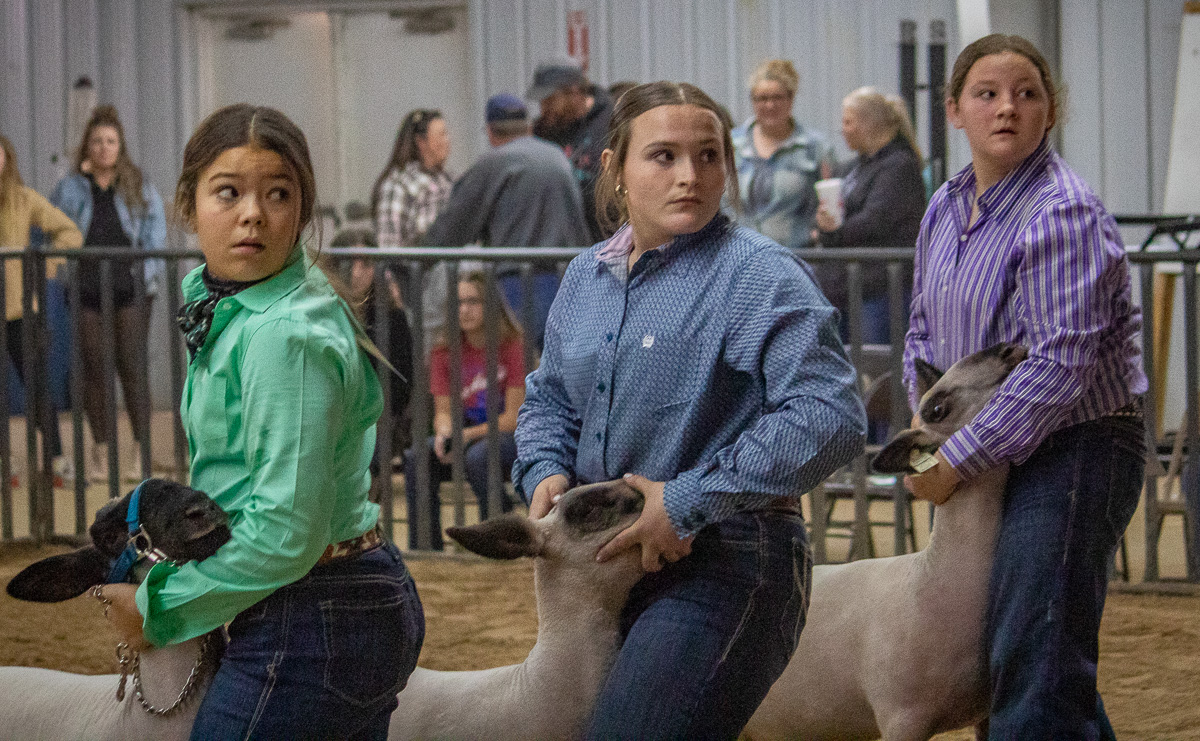 SCJLS 2023: Jackson, Nowak and Blackman garner top awards in Sheep ...