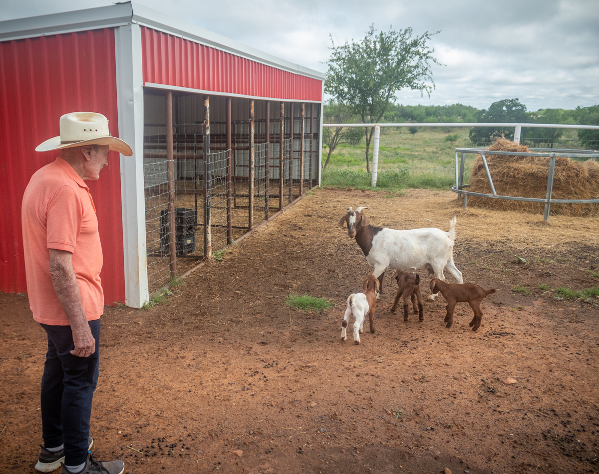 Breckenridge nanny goat surprises owners with quadruplets ...