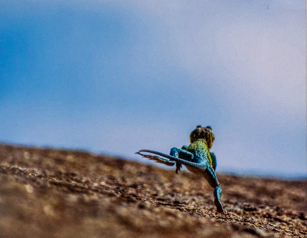 ‘Shutters & Strokes’ exhibit at BFAC features photos and paintings of ...