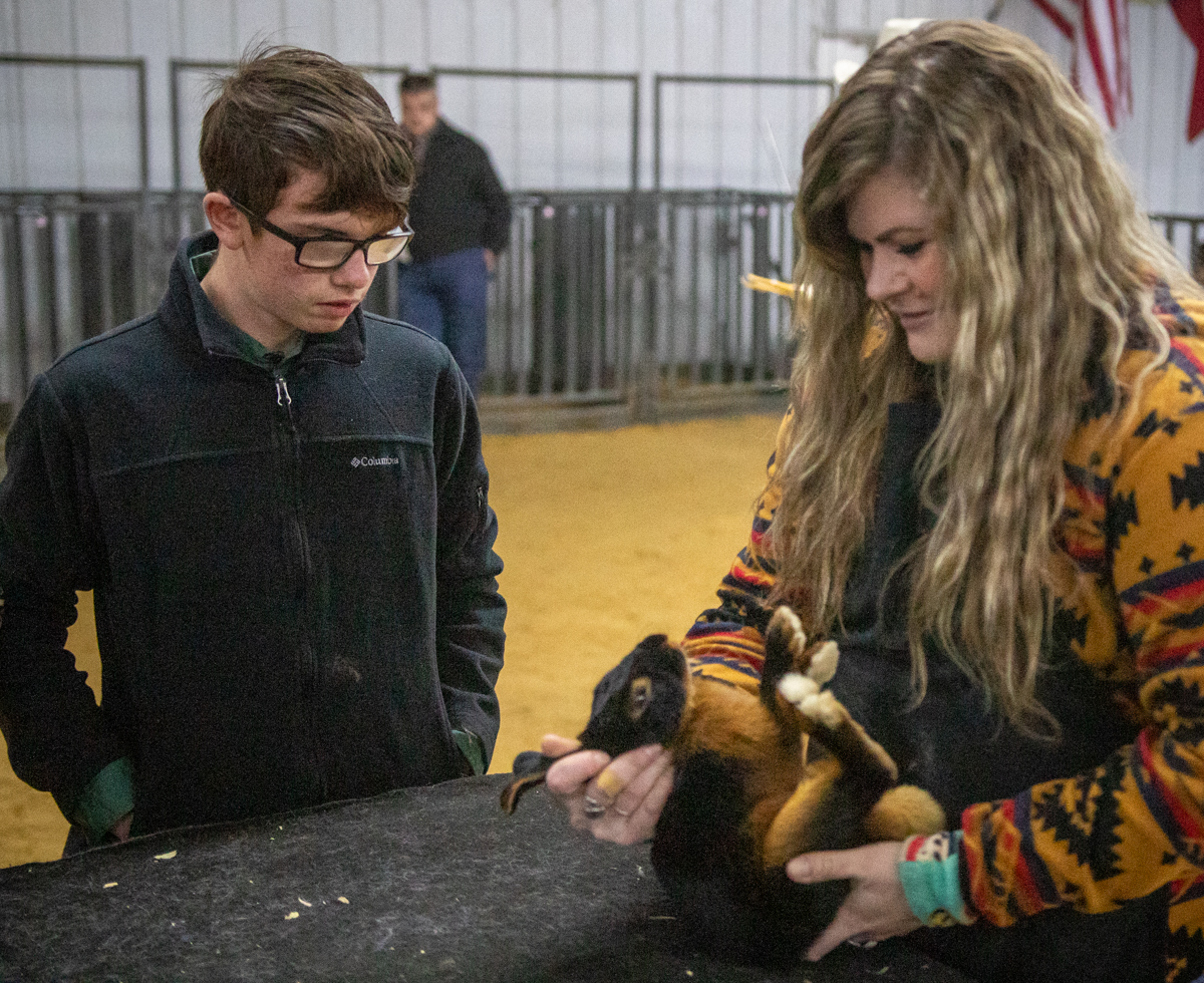SCJLS 2024: Rabbit Division opens 66th Stephens County Junior Livestock ...