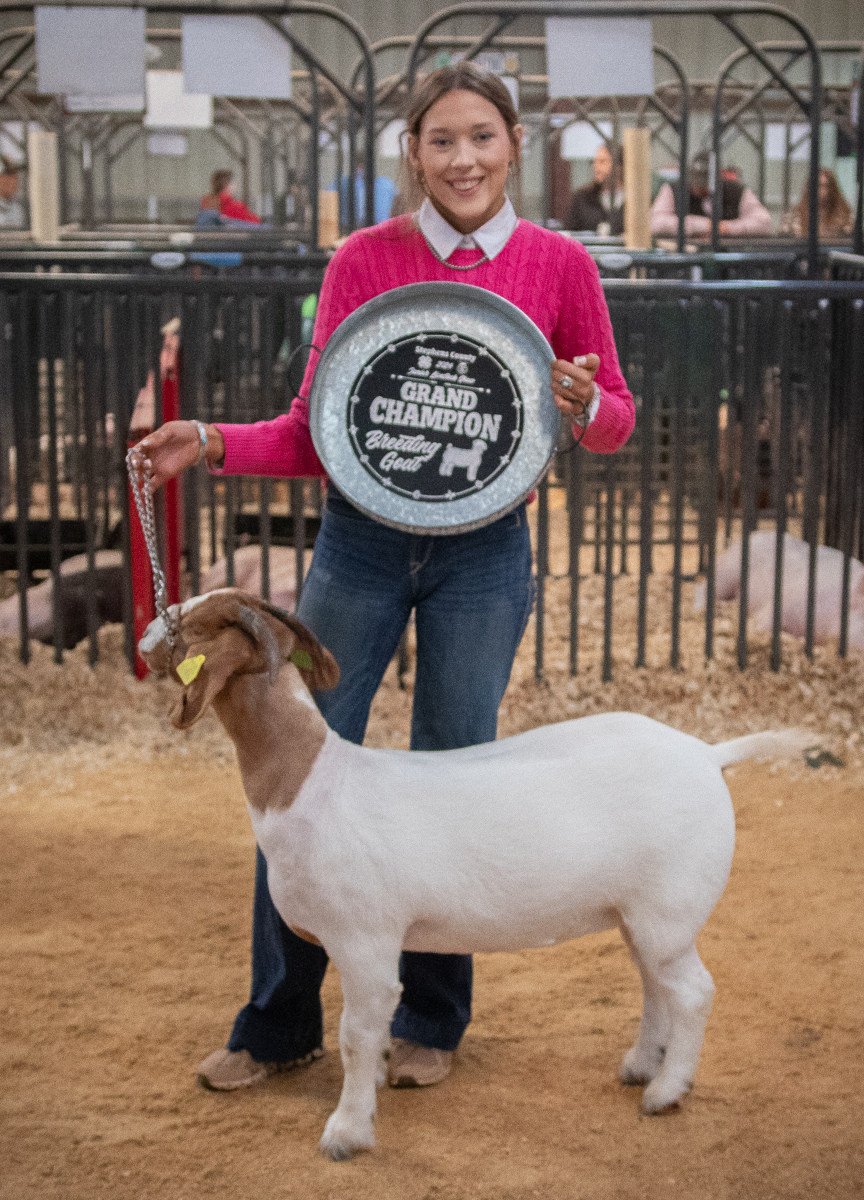 66th annual Stephens County Junior Livestock Show wraps up with ...