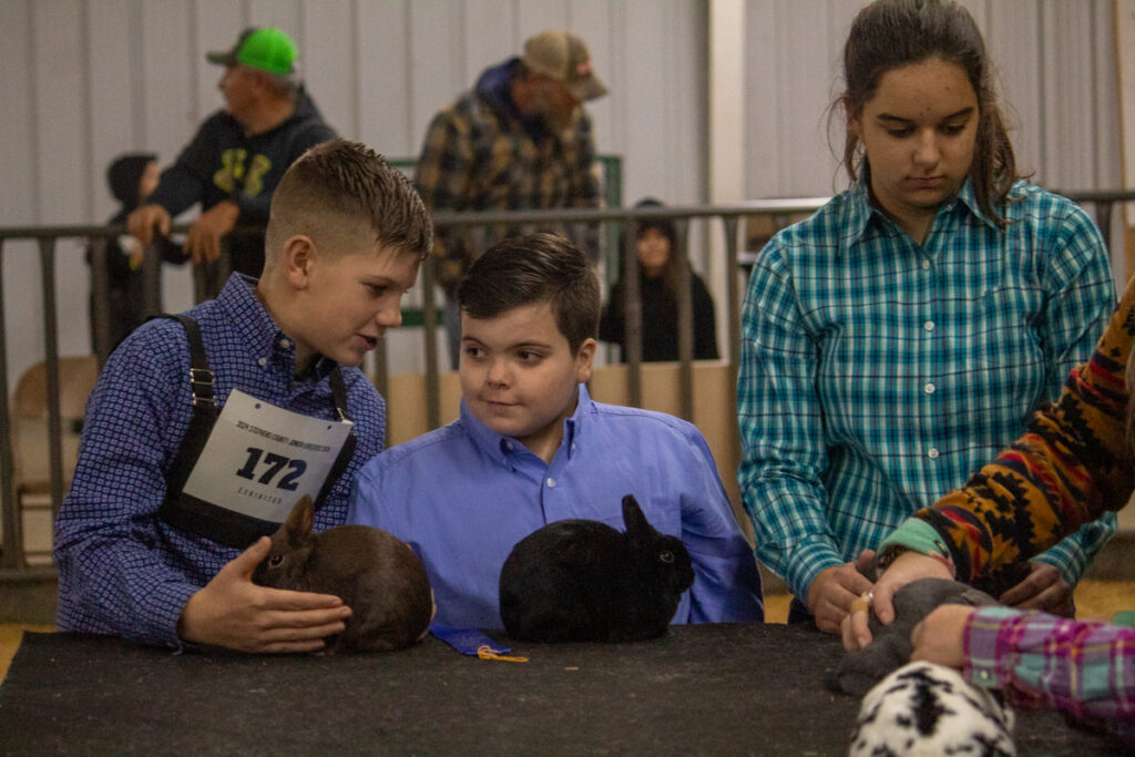 SCJLS 2024: Rabbit Division opens 66th Stephens County Junior Livestock ...