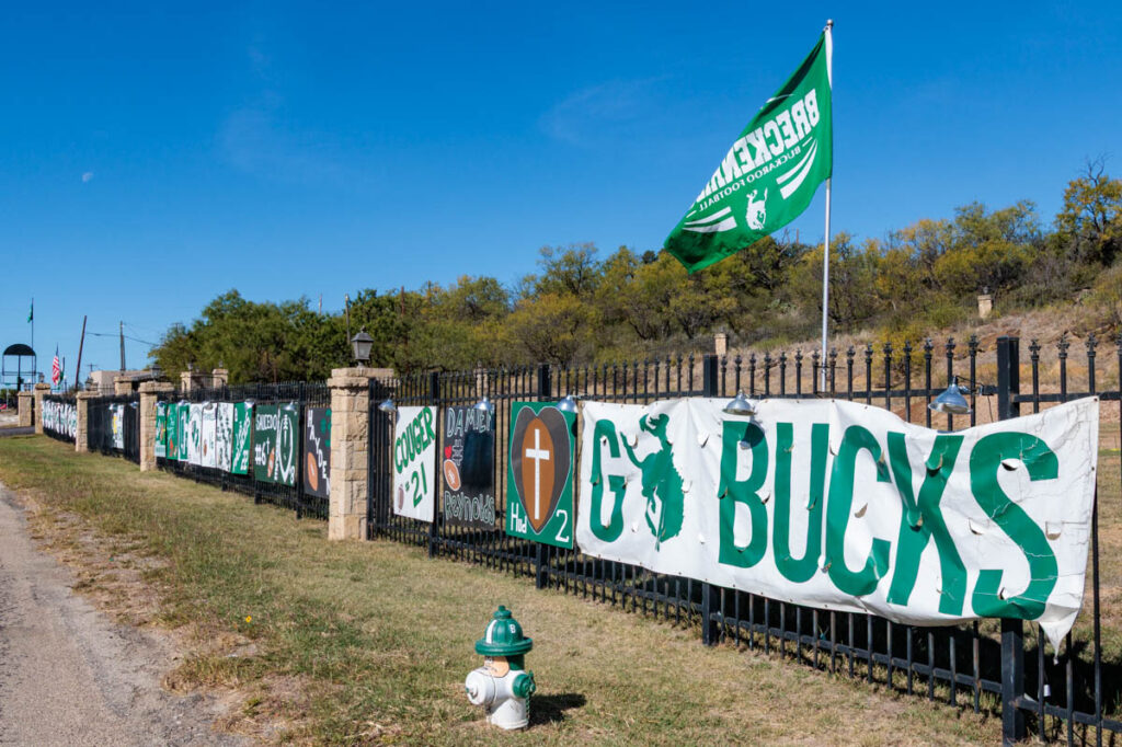 That’s one big Buckaroo: Cindi Woodward commissions artist Joe ...